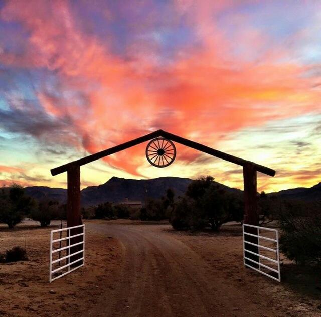 Experience a Real Dude Ranch in Nevada – travelinmystate.com